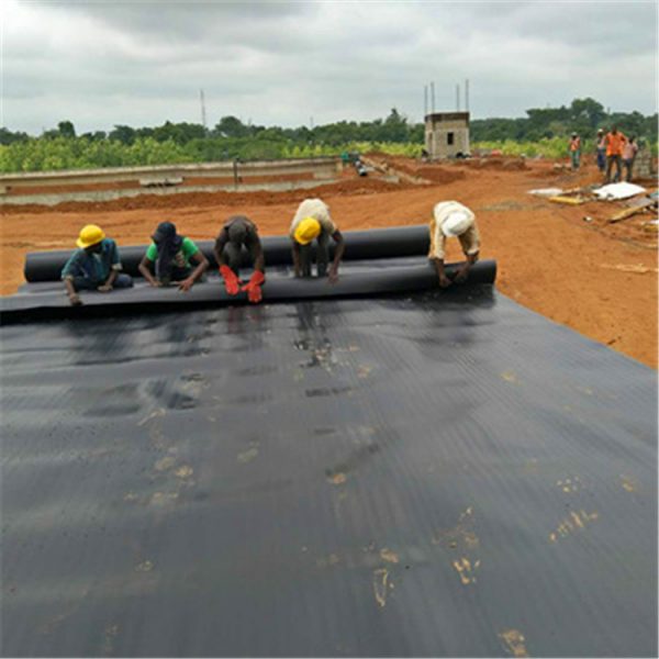 HDPE Membrane Waterproofing Lining for Artificial Lake Project – Vipaco ...
